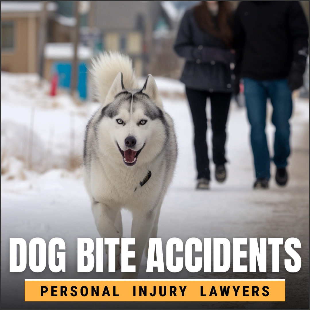 Dog Bite Injury Lawyers | BLFON Injury Law Firm
